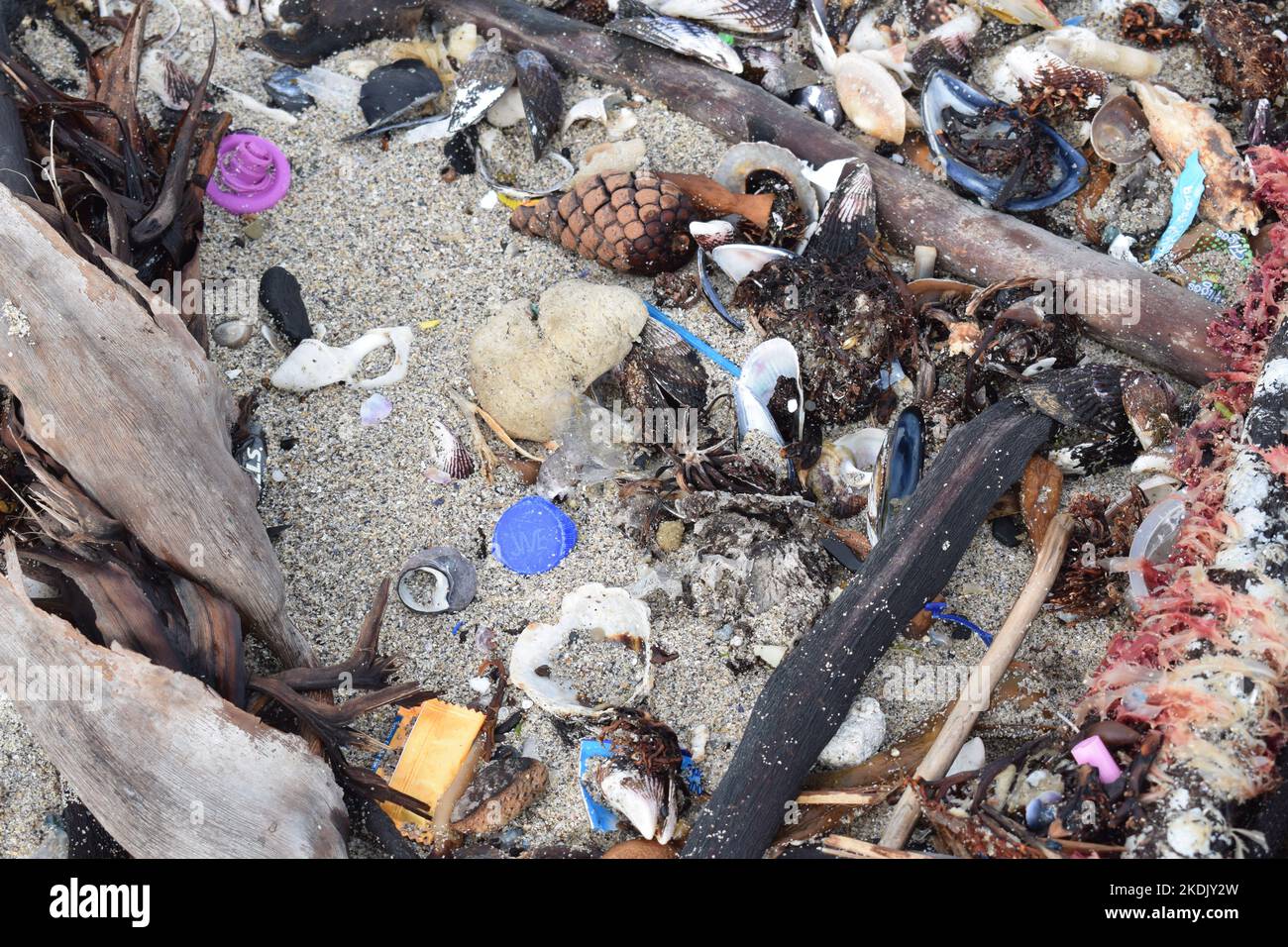 Shore pollution hi-res stock photography and images - Alamy