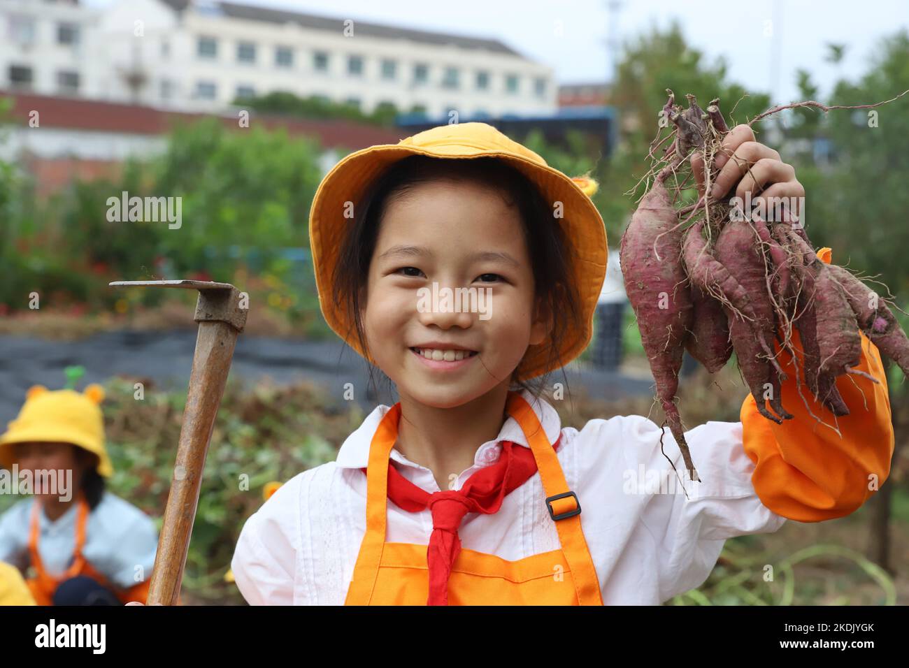 The students are harvesting crops on the campus farm with happiness and ...