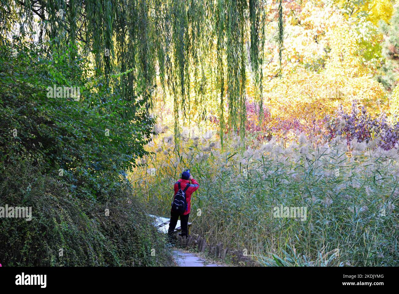 In addition to lovely animals, there is also beautiful autumn scenery ...
