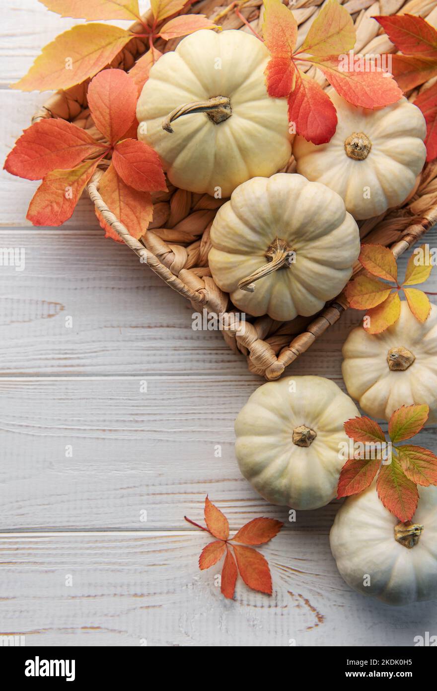 Thanksgiving season still life with small pumpkins and fall leaves over ...