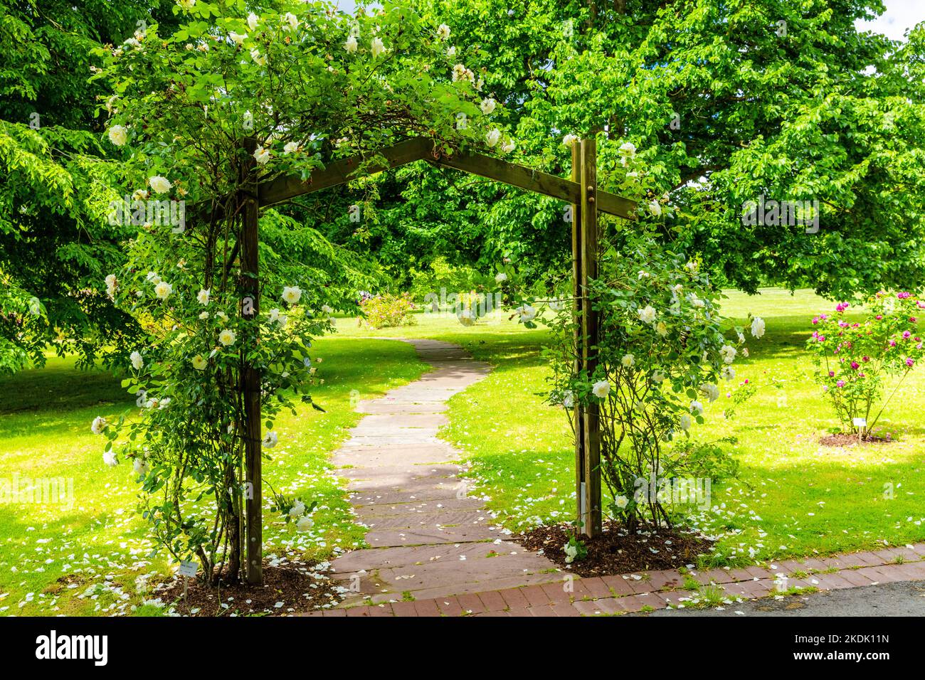 natural scenery with green meadow and spring trees in park Stock Photo ...