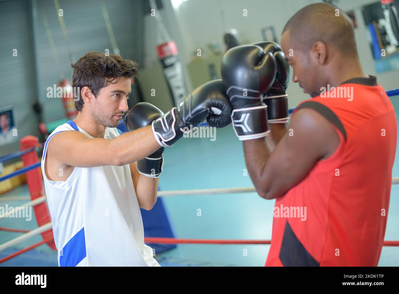 portrait of people during boxing practice at the gym Stock Photo - Alamy