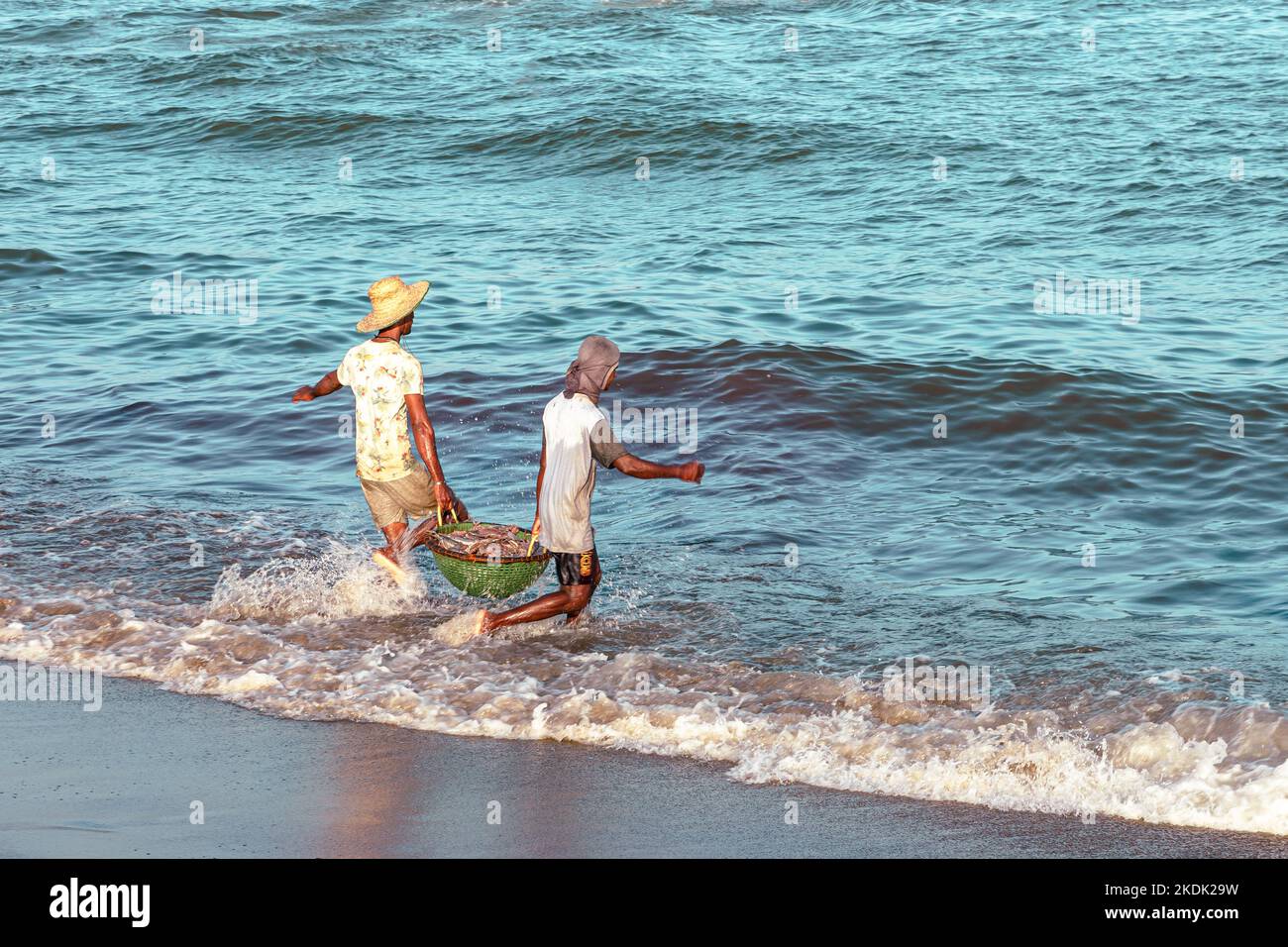 People working with fish on the beach in Negombo, Sri Lanka Stock Photo ...