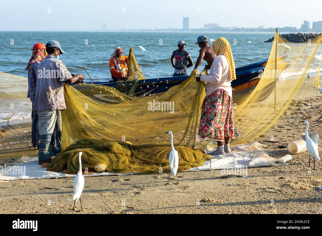 NEGOMBO, SRI LANKA - FEBRUARY 28, 2022: People working with fish on the ...