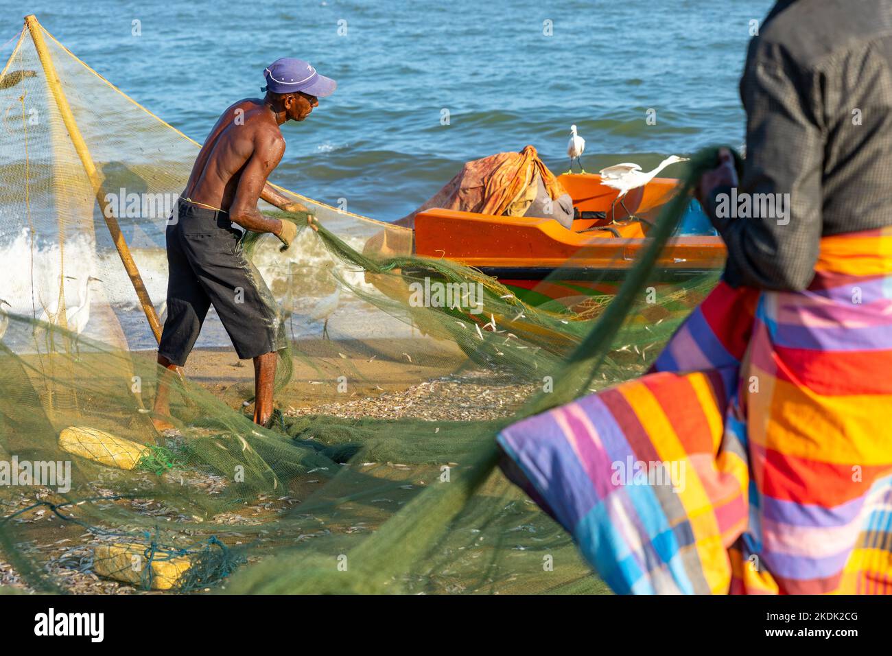 NEGOMBO, SRI LANKA - FEBRUARY 28, 2022: People working with fish on the ...