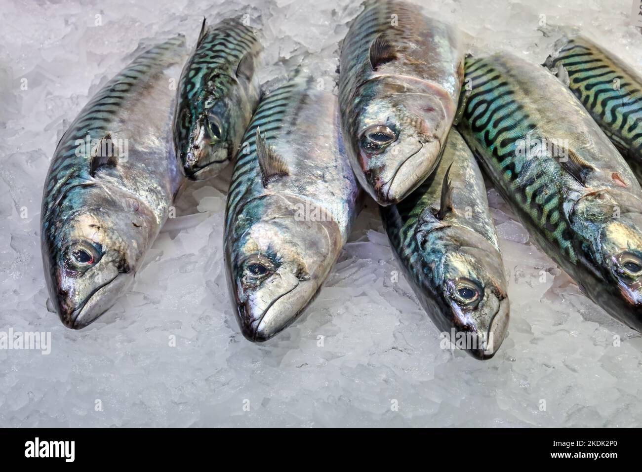 Fresh fish for sale at a market in Barcelona, Spain Stock Photo - Alamy