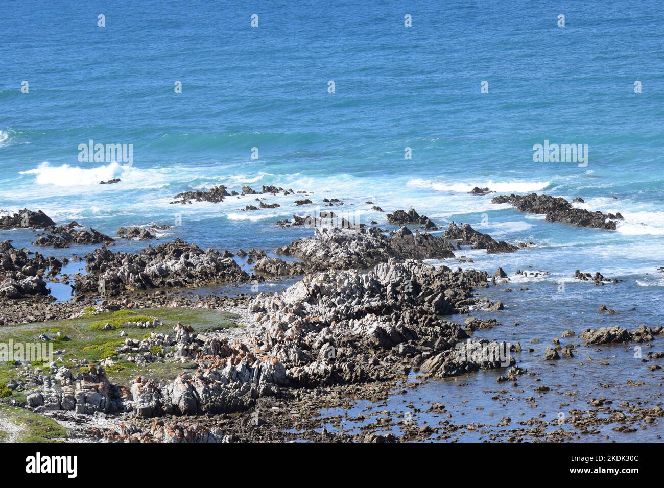 Agulhas national park cape hi-res stock photography and images - Alamy