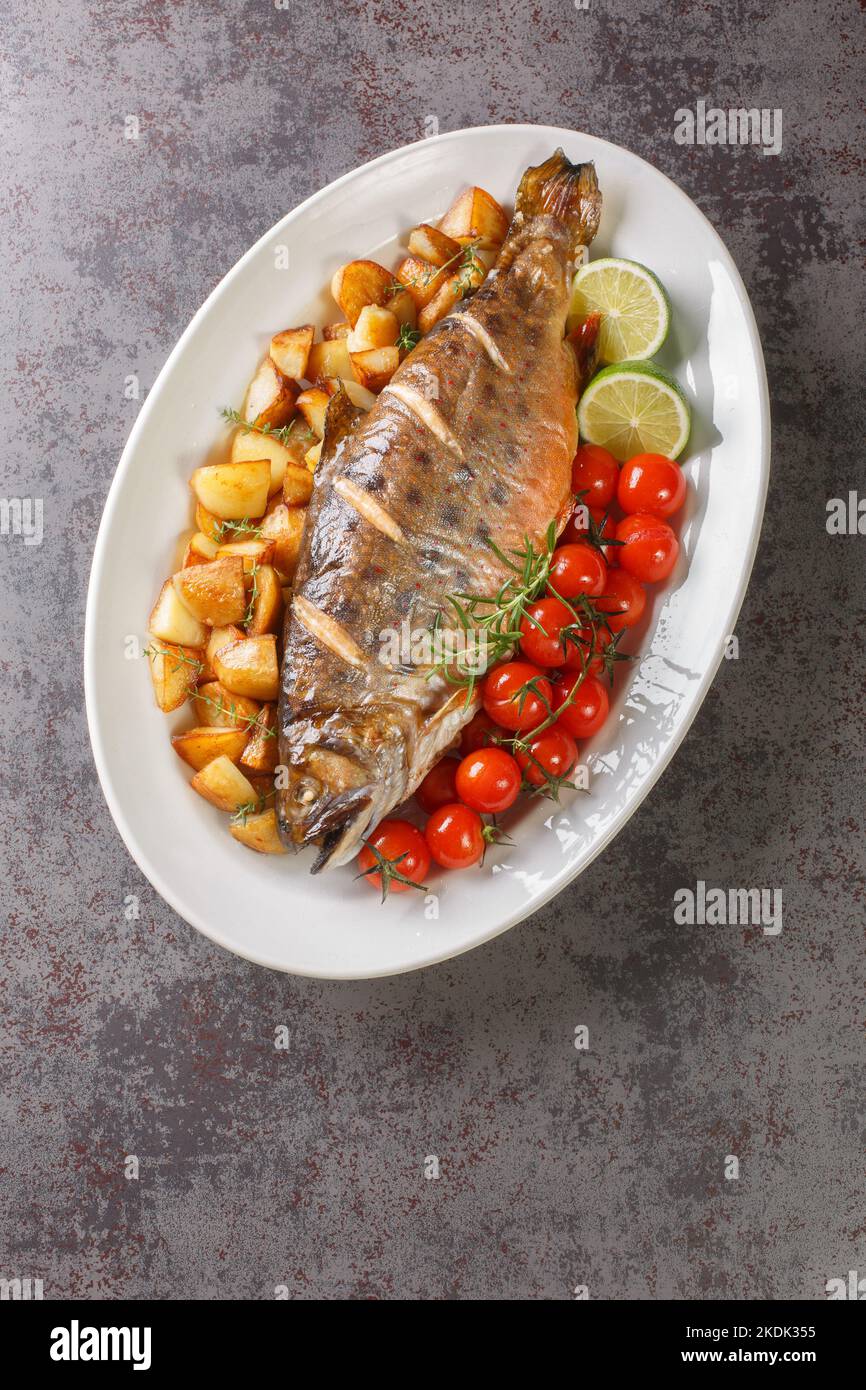 Spicy baked Arctic Char fish With Sauteed Potatoes and tomato closeup ...