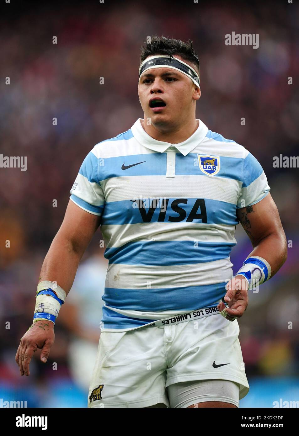 Thomas gallo hi-res stock photography and images - Alamy