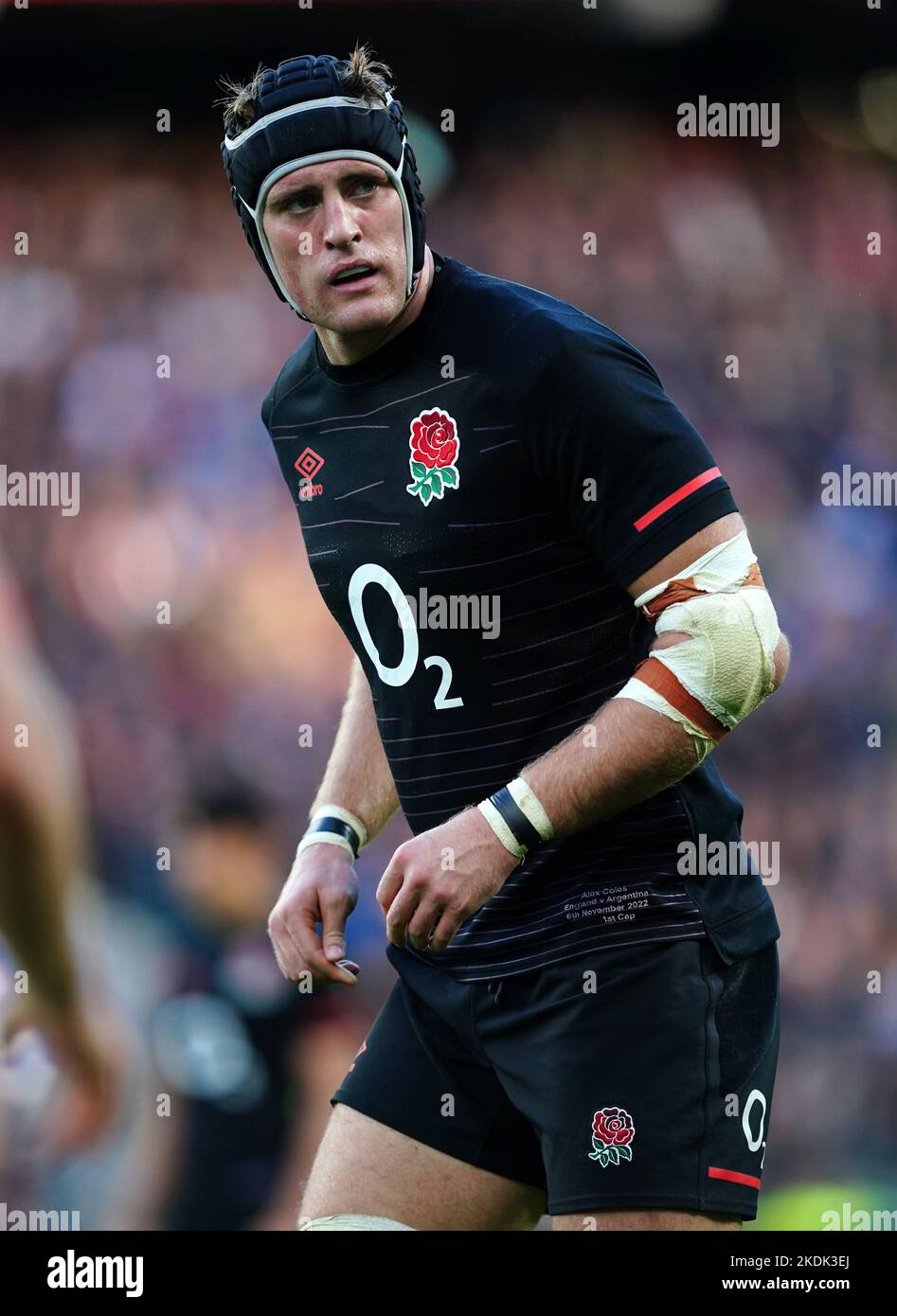 England v argentina autumn international twickenham stadium hi-res stock photography and images ...