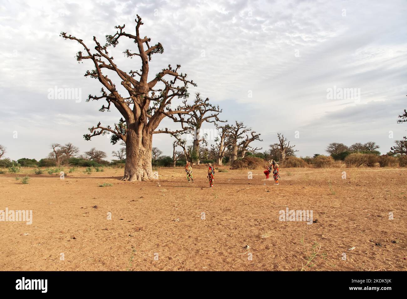 Masks dakar senegal west africa hi-res stock photography and images - Alamy