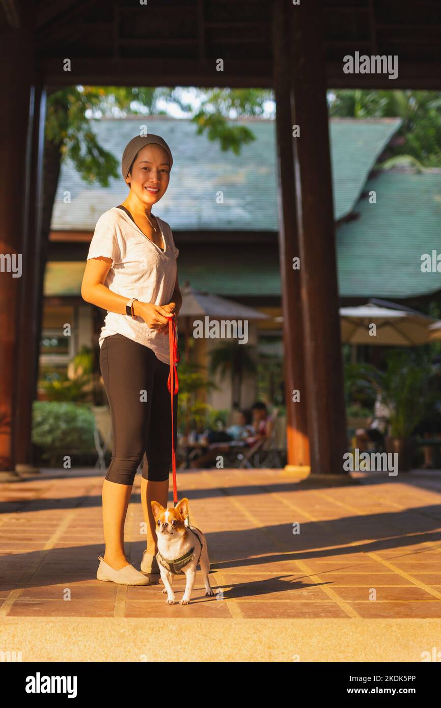 Woman owner walking with brown and white Chihuahua dog Stock Photo - Alamy