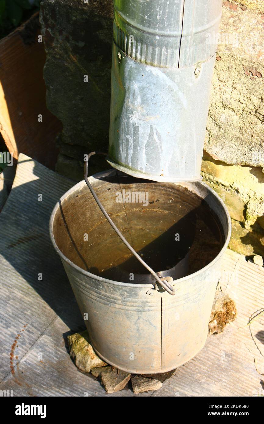 A metal bucket installed under a storm pipe on the corner of a ...