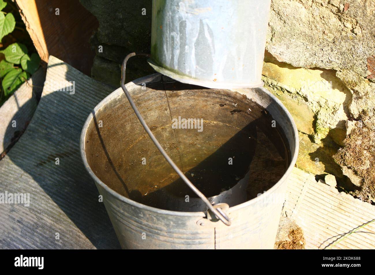A metal bucket installed under a storm pipe on the corner of a ...
