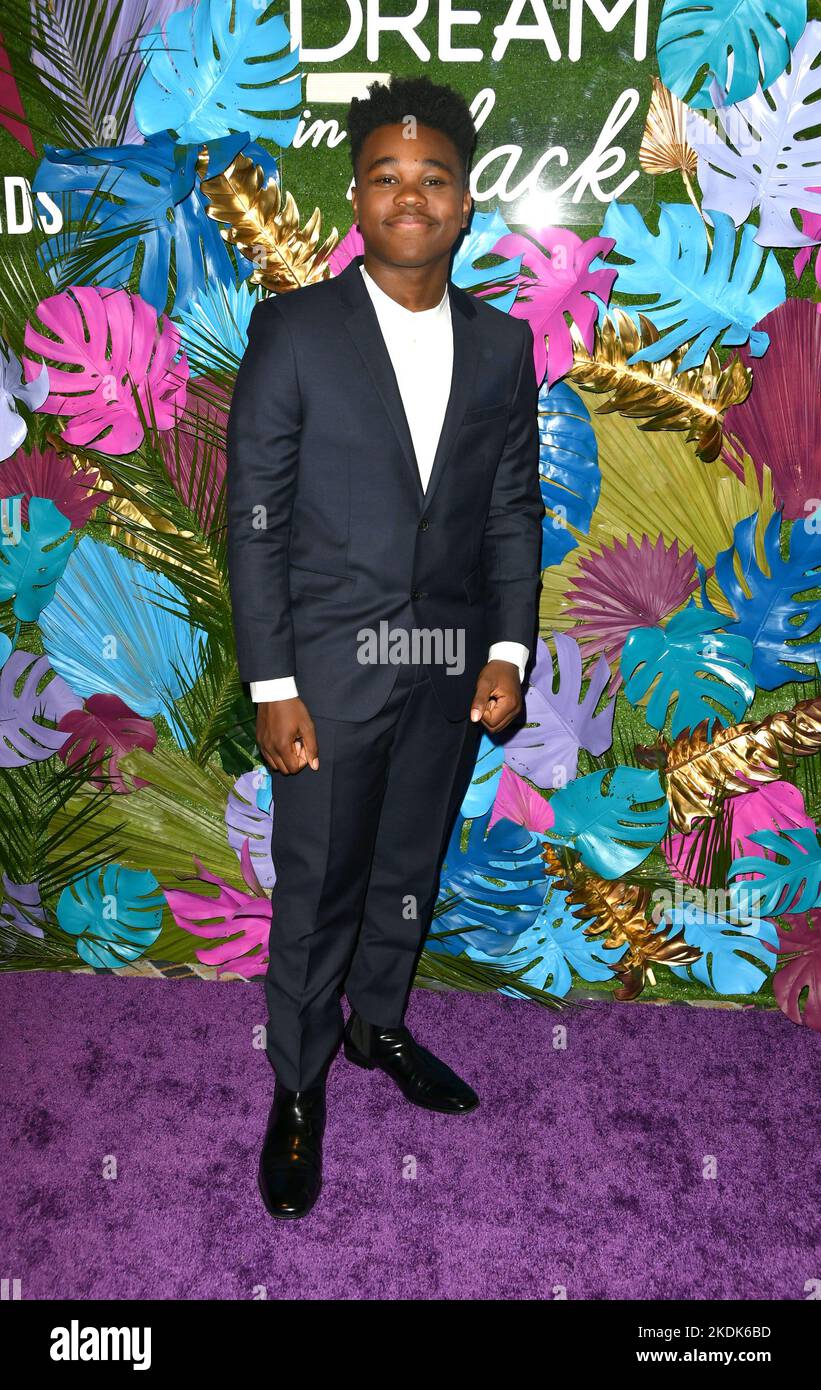 The 2022 Merge Awards, Beverly Wilshire, Four Seasons Hotel. -PICTURED ...