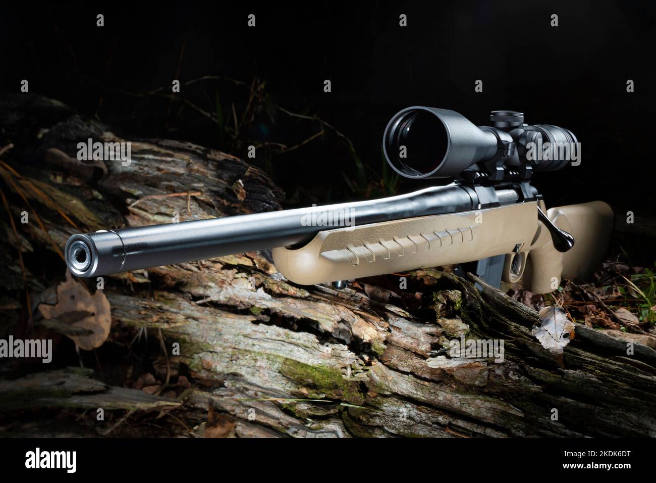 Bolt action hunting rifle and high power scope in a dark woods Stock ...