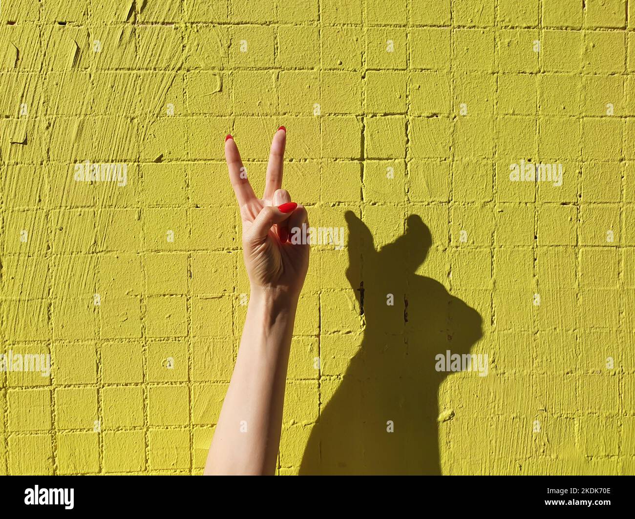 Peace sign hand. Woman's hand makes two fingers up gesture on neon ...