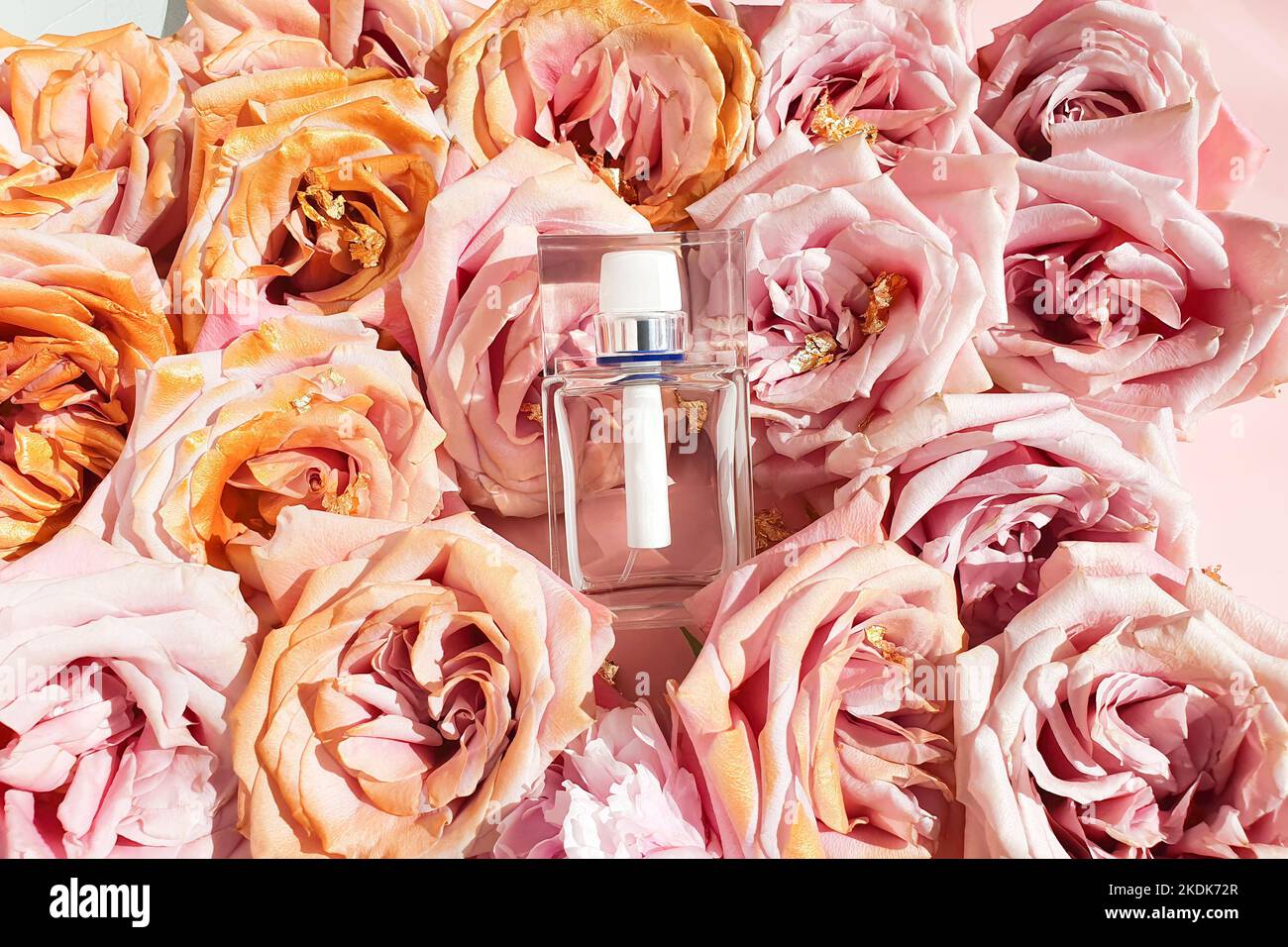 Unbranded perfume transparent white bottle with trendy shadow, pink ...