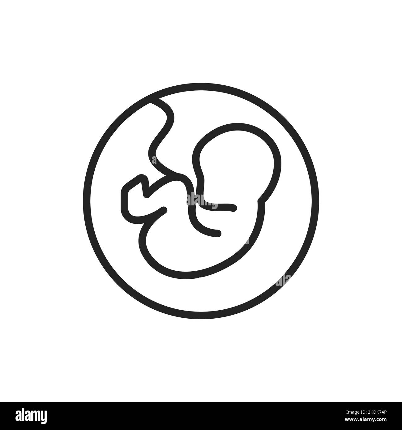 Pregnancy stage embryo in uterus color line icon. Outline pictogram for ...