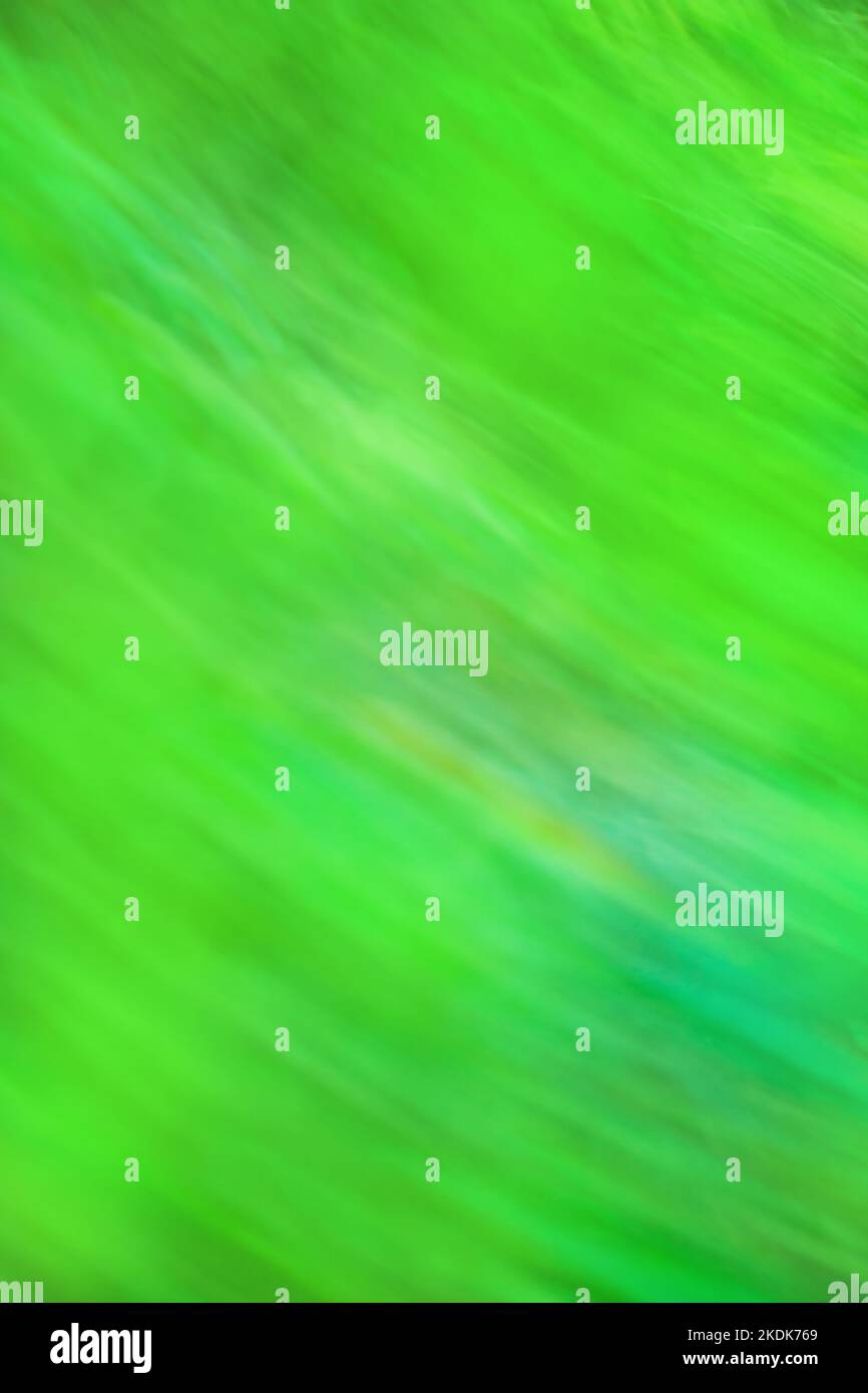 Natural grass and leaves spring bokeh illuminated background. Spring ...