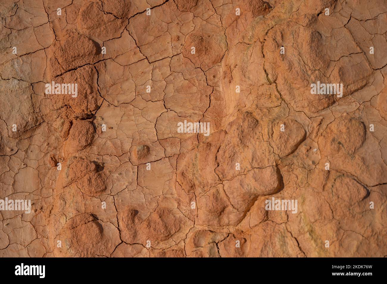 Cracked red clay. Hot climate in the desert Stock Photo - Alamy