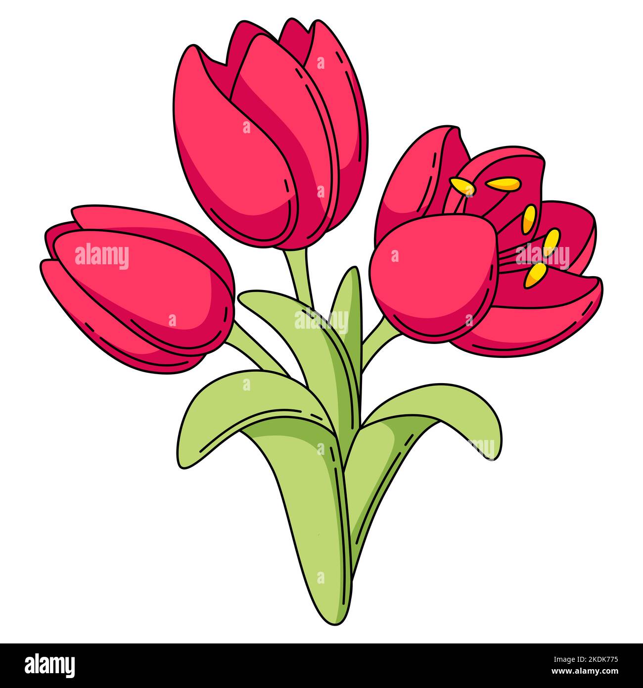 Happy Valentine Day illustration of tulips bouquet. Holiday romantic ...