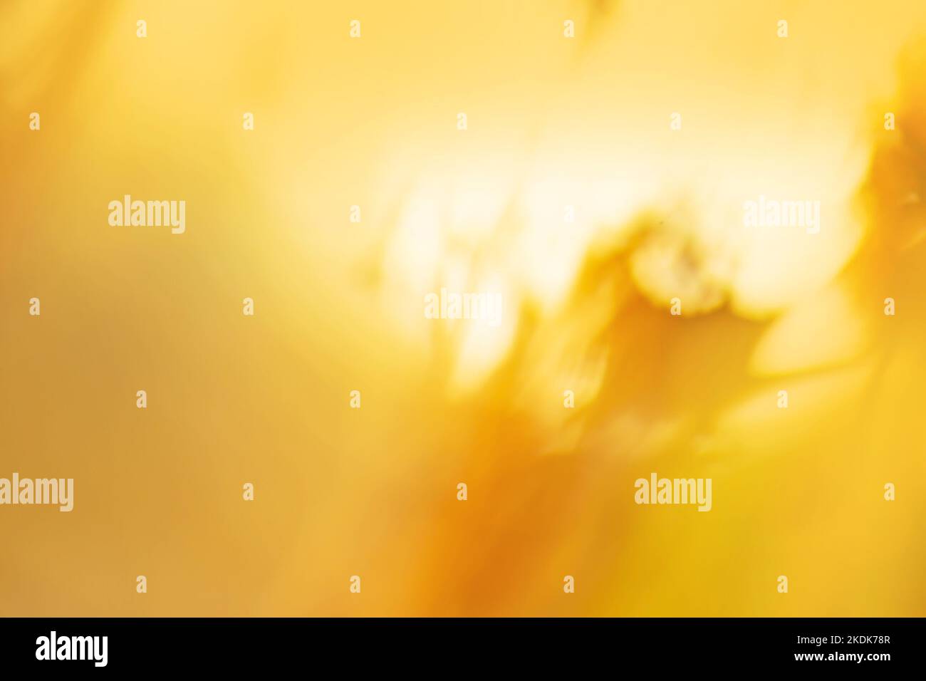 Natural summer vacation background with sun rays. Blurred and defocused ...