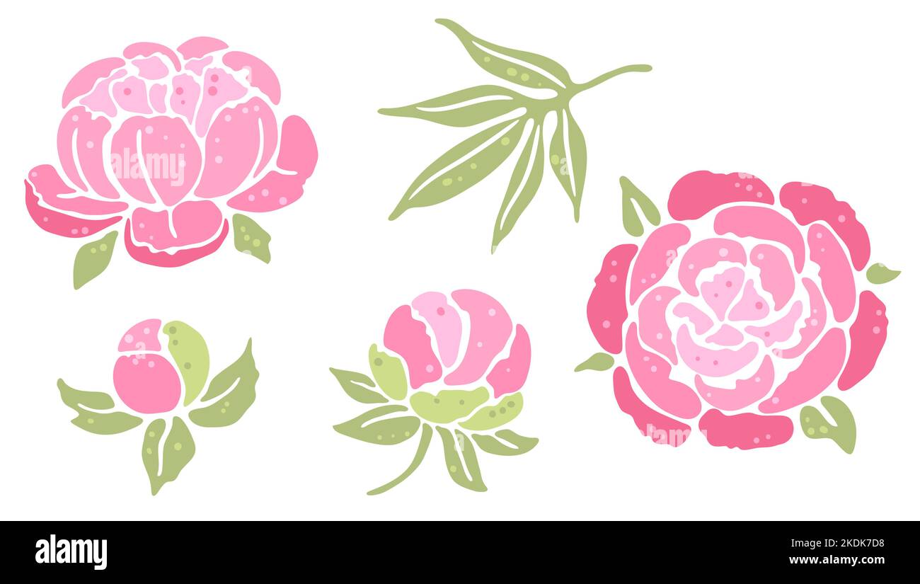 Set of peony flowers. Beautiful decorative plants Stock Vector Image ...