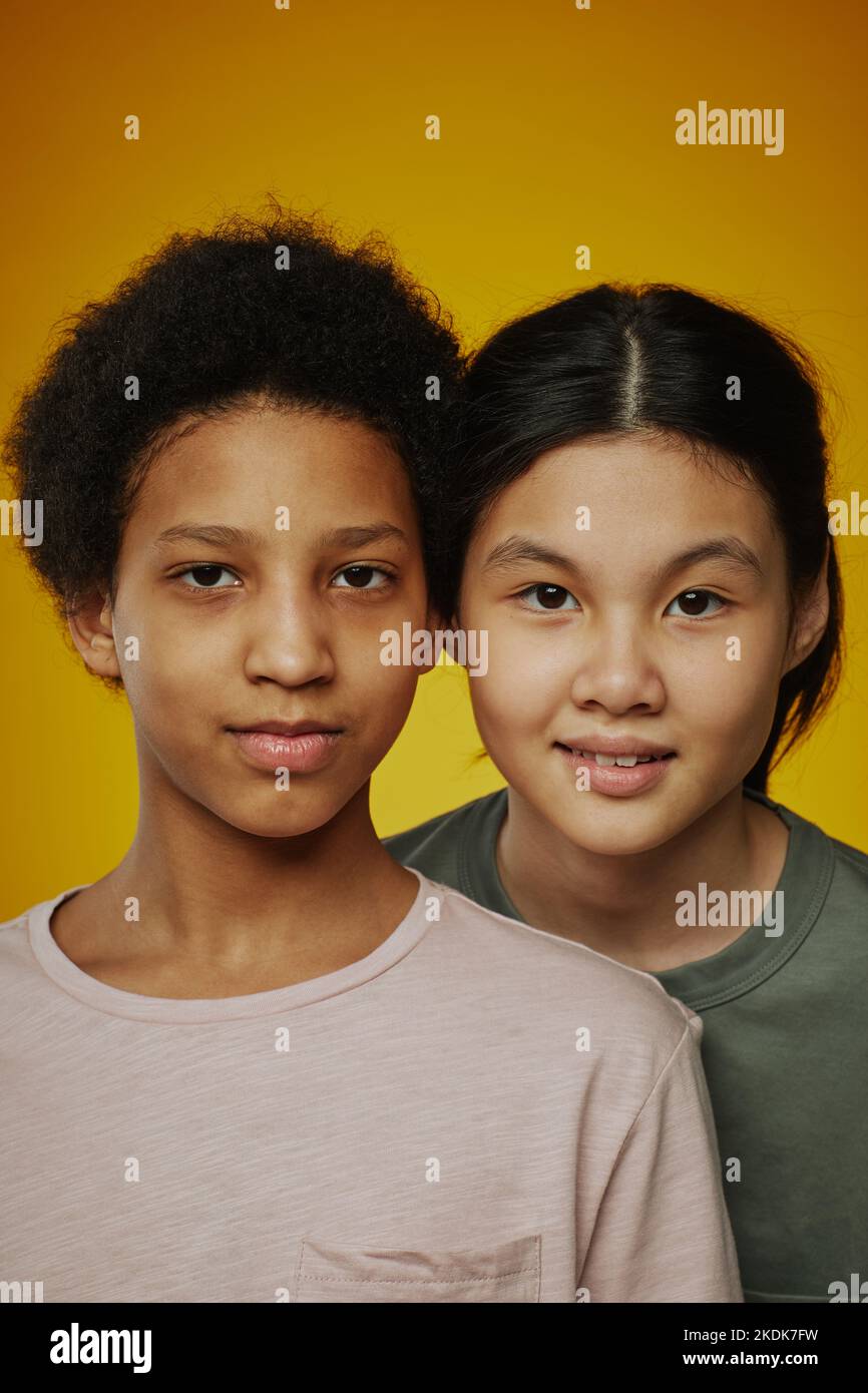 Portrait of two adolescent friendly girls in t-shirts standing in front ...