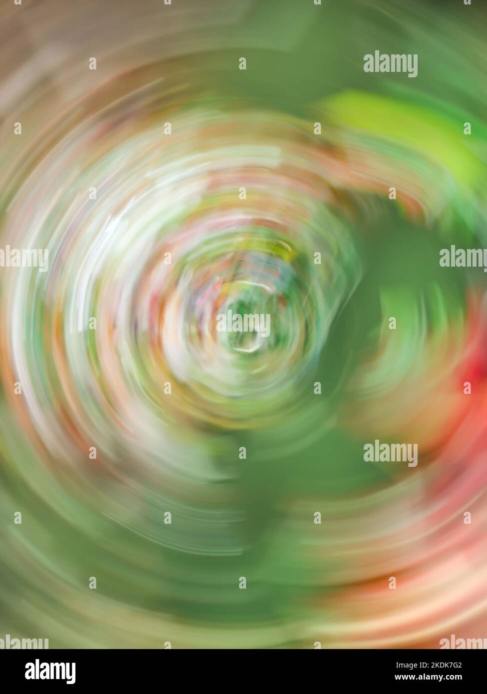 Green grass wild meadow blurred bio backgrounds. Amazing green plants ...