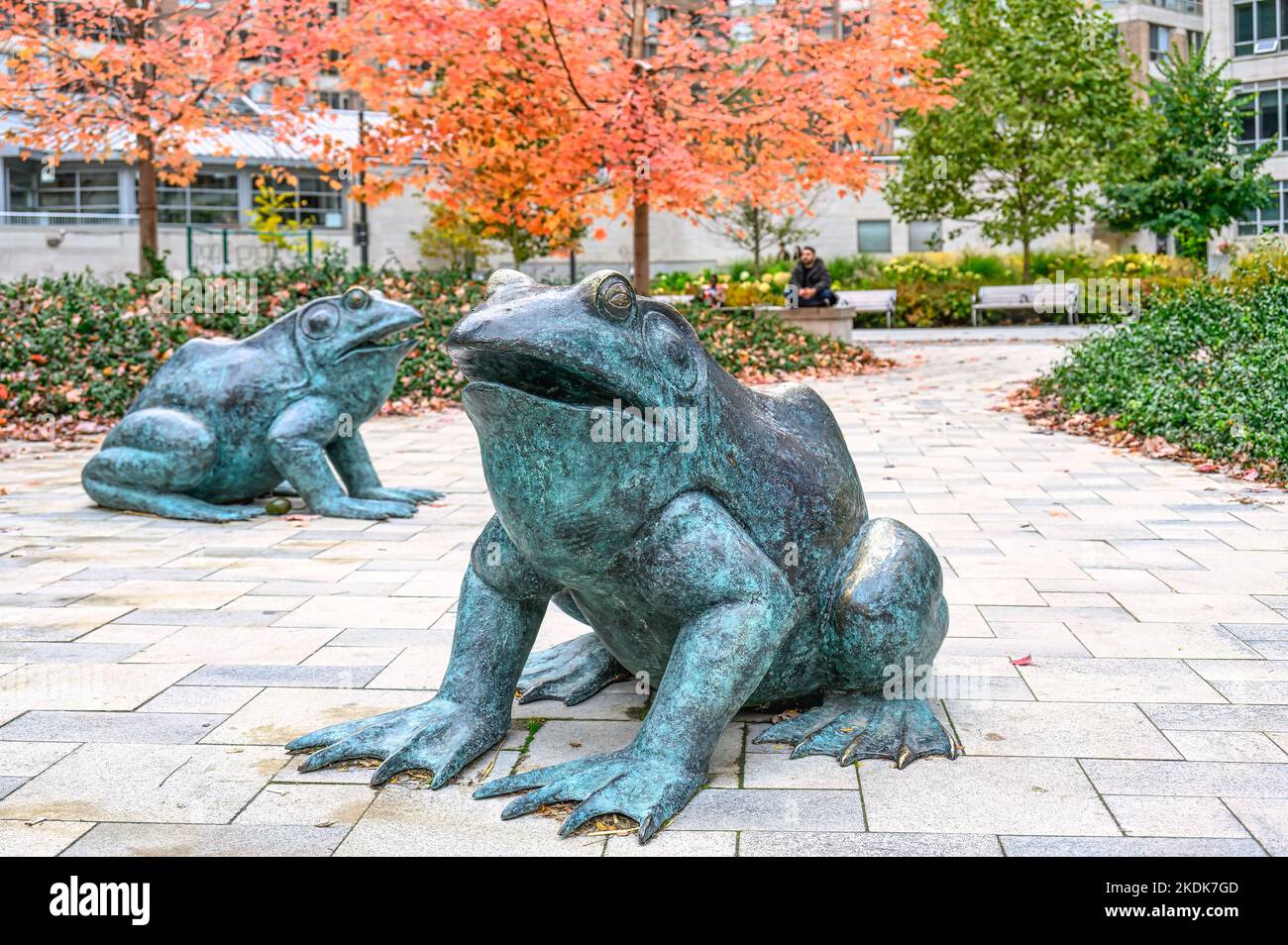 Toronto, Canada - November 5, 2022: Frog sculptures in the Barbara Ann ...