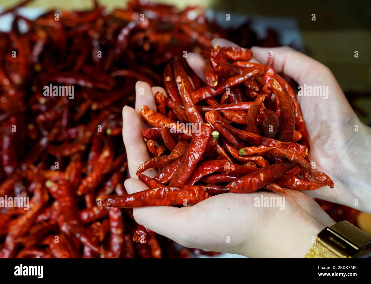 2022 ciie hi-res stock photography and images - Alamy