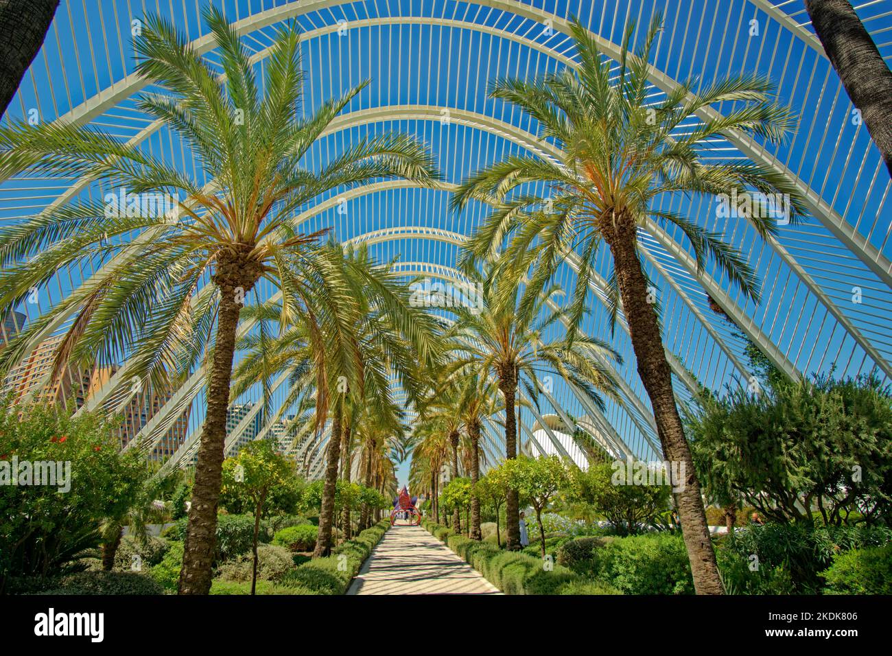 The Umbracle arches at the Valencia City of Culture in Valencia ...