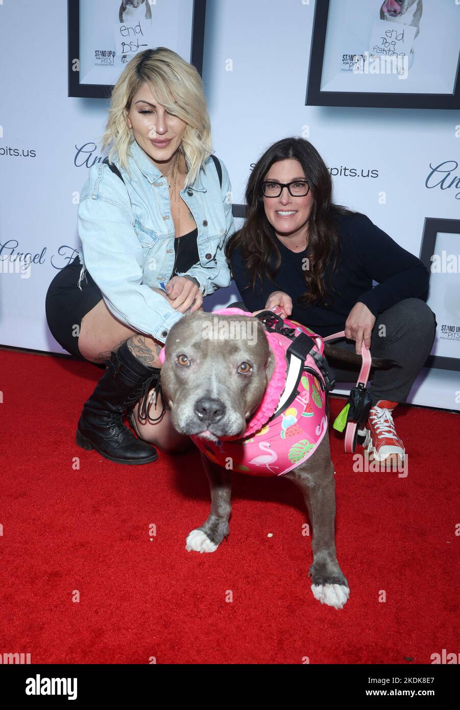 LOS ANGELES, CA - NOVEMBER 6: Rebecca Corry at Stand Up For Pits ...
