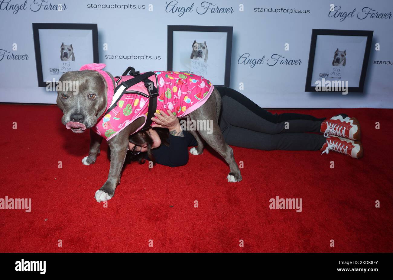 Los Angeles, Ca. 6th Nov, 2022. Rebecca Corry at Stand Up For Pits ...