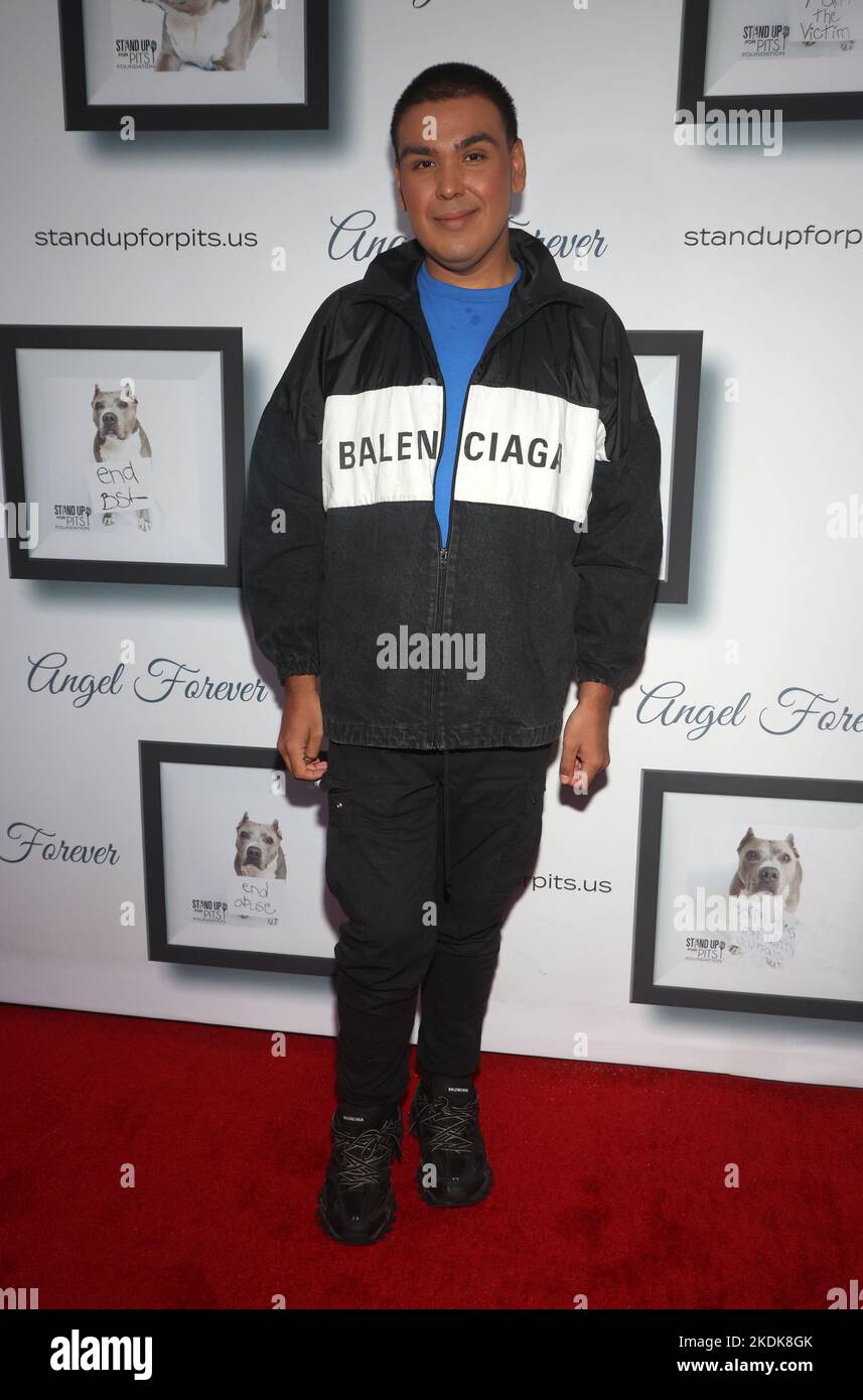 Los Angeles, Ca. 6th Nov, 2022. Christian Garcia at Stand Up For Pits ...