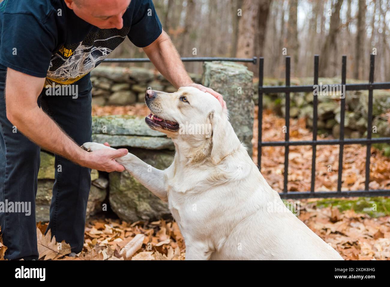 Shaking hands after getting a treat Stock Photo - Alamy