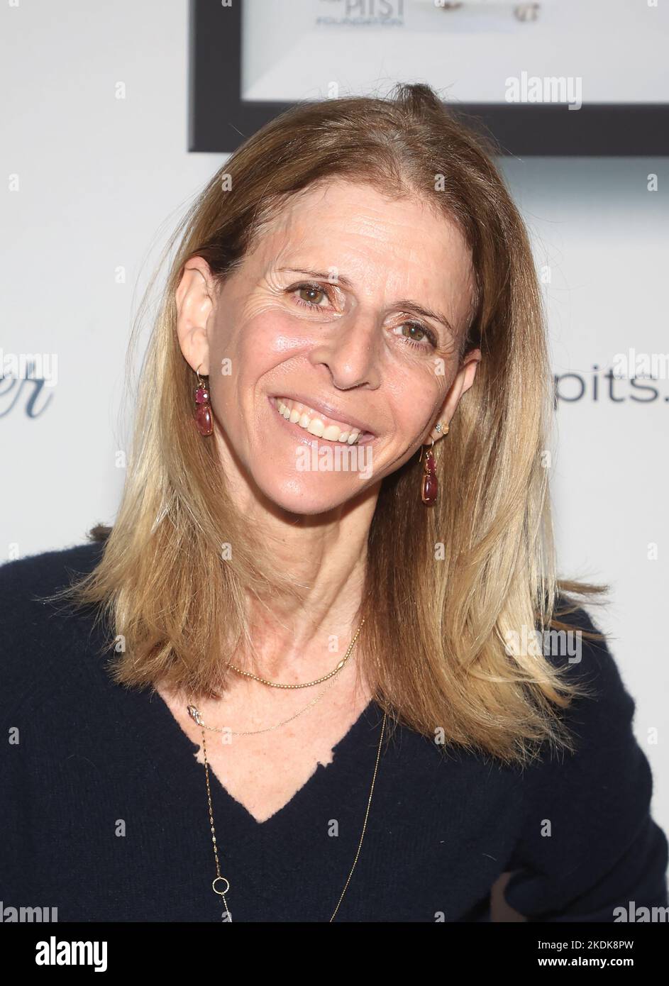 Los Angeles, Ca. 6th Nov, 2022. Amy Ziering at Stand Up For Pits ...