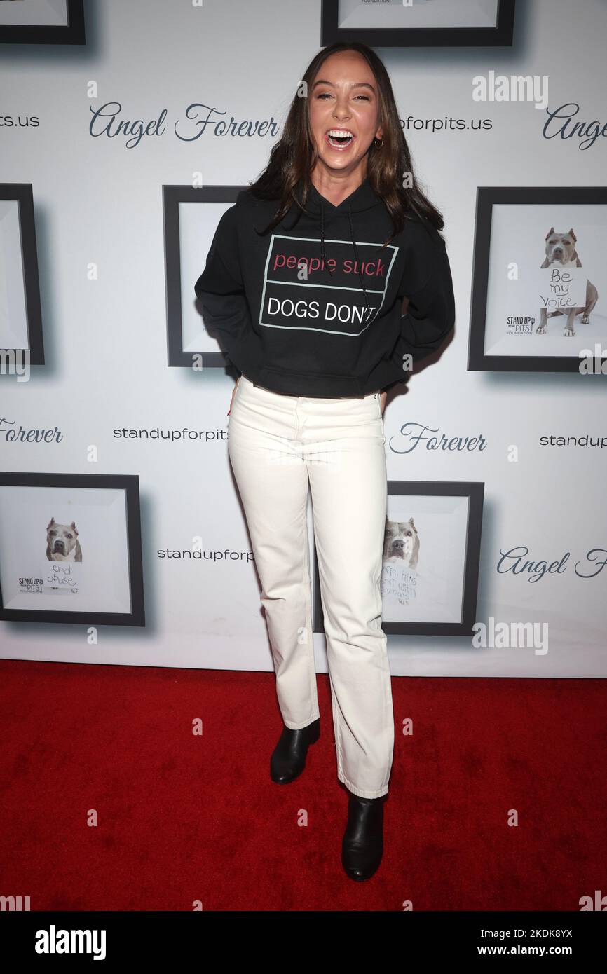 Los Angeles, Ca. 6th Nov, 2022. Britt Baron at Stand Up For Pits ...