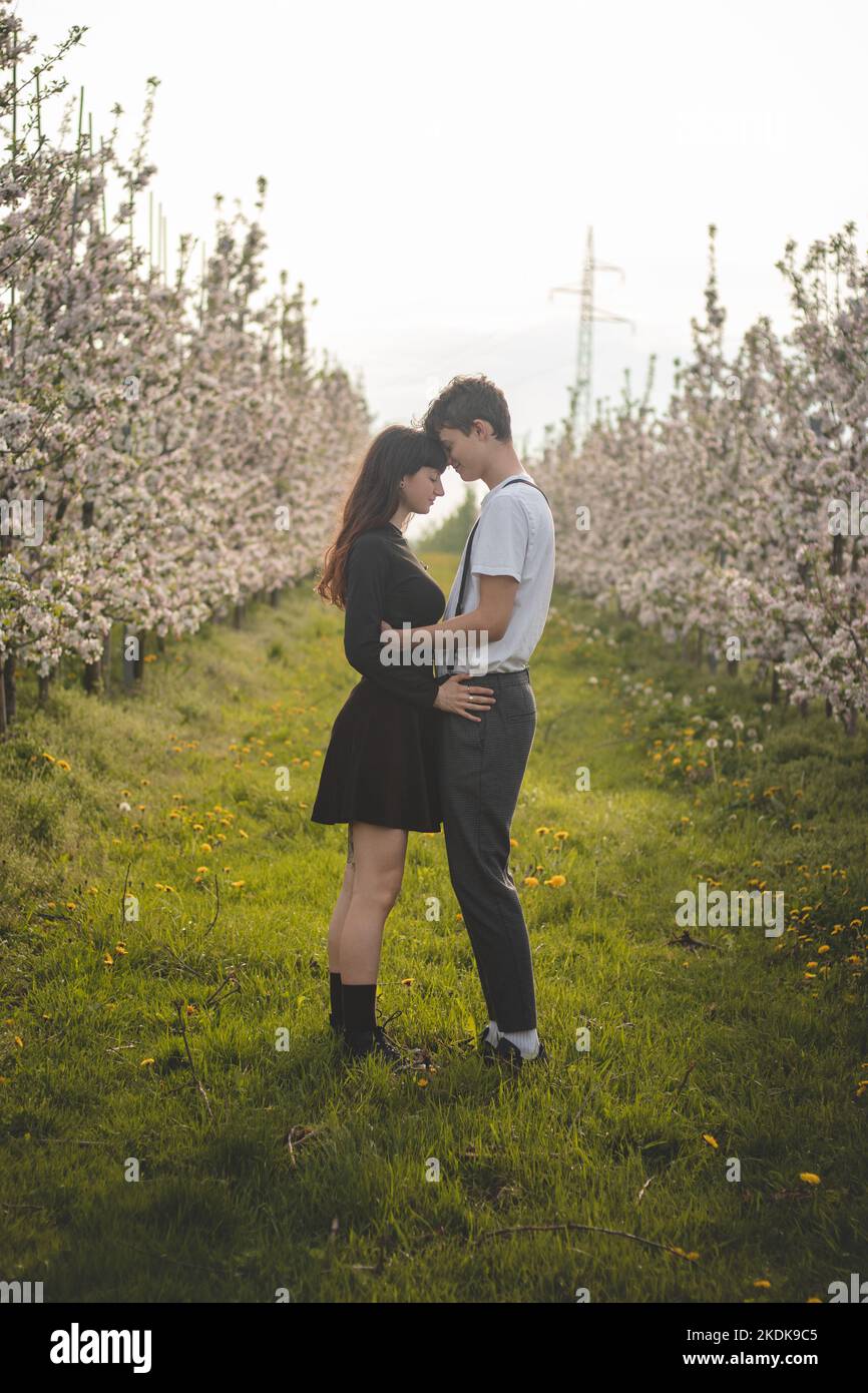 Young strong love between two young people standing under apple trees ...