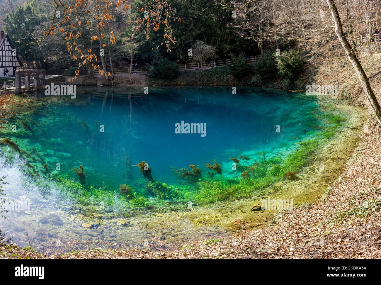 Beautiful and deep little lake with source on the bottom and nice green ...