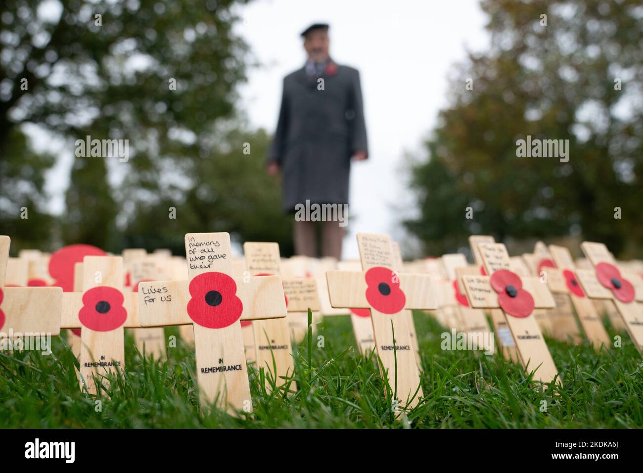 Veteran Roy Shakeshaft views planted tributes during the official ...