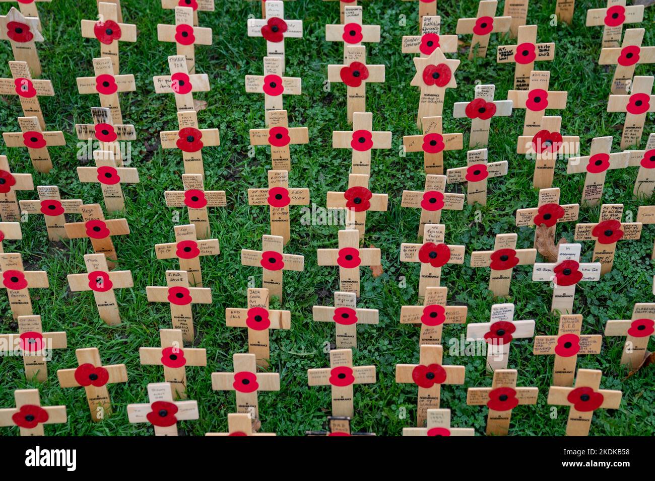 Tributes are planted during the official opening of the 2022 Royal ...