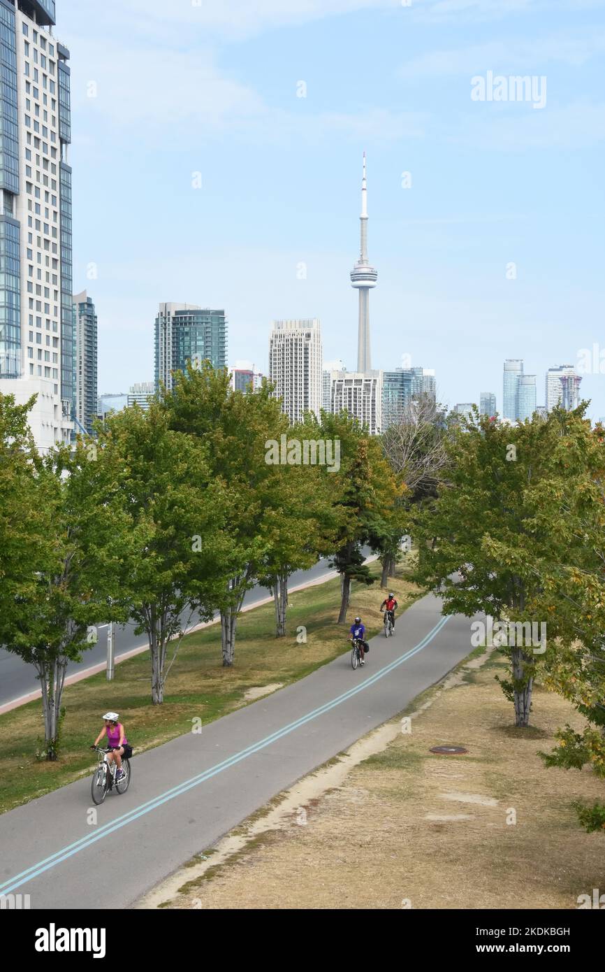 Bicycle lane along Lake Shore Boulevard,Toronto, Canada Stock Photo - Alamy