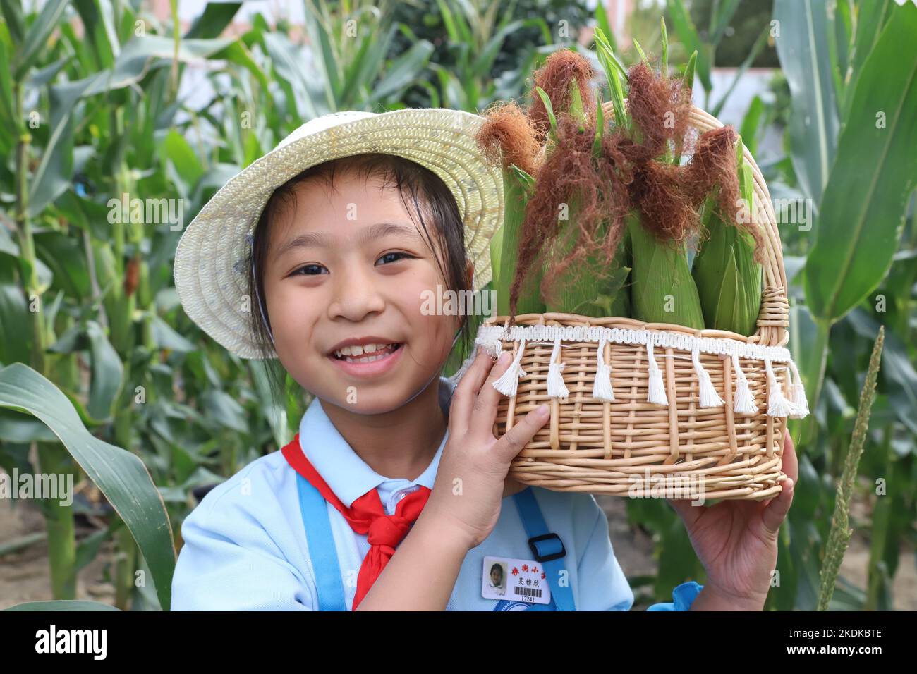 The students are harvesting crops on the campus farm with happiness and ...
