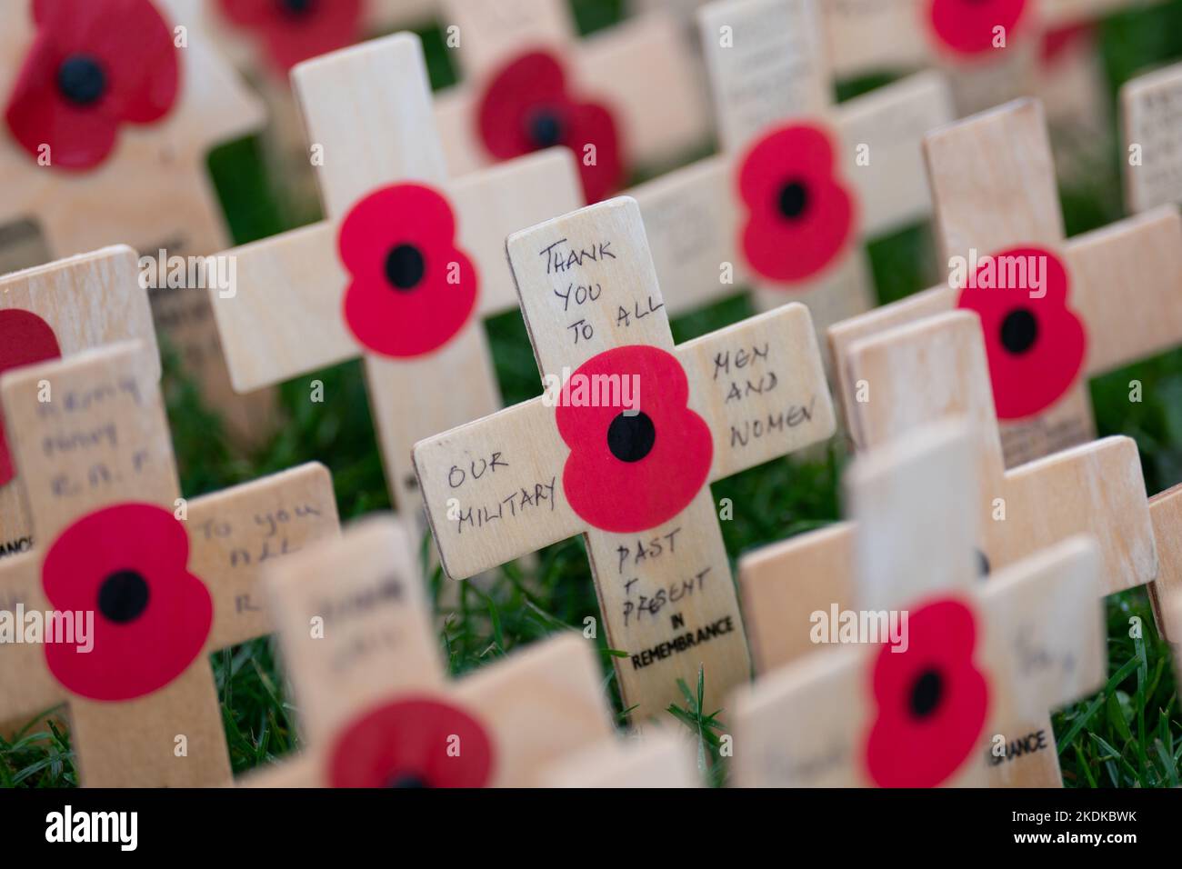 Tributes planted during the official opening of the 2022 Royal British ...
