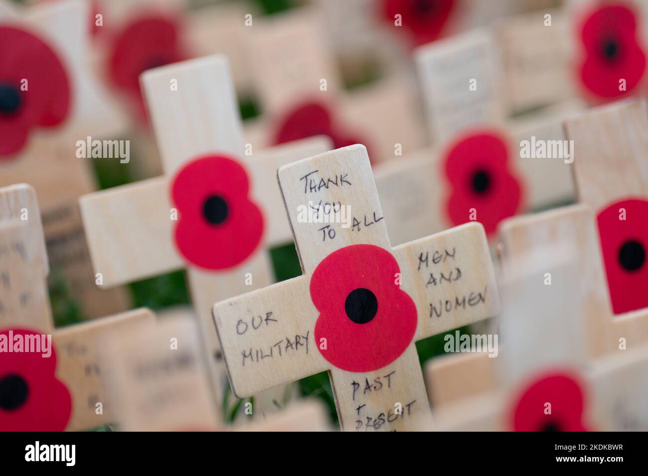 Tributes planted during the official opening of the 2022 Royal British ...