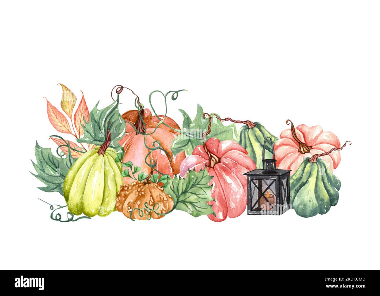 Watercolor autumn harvest illustration. fall pumpkin and leaves ...