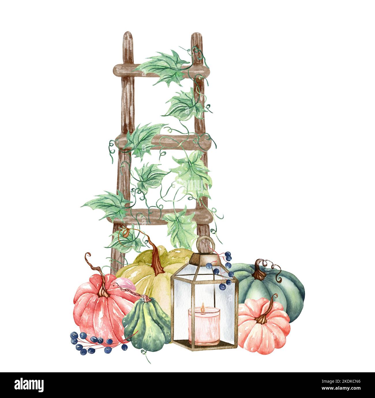 Watercolor autumn harvest illustration. fall pumpkin and leaves ...