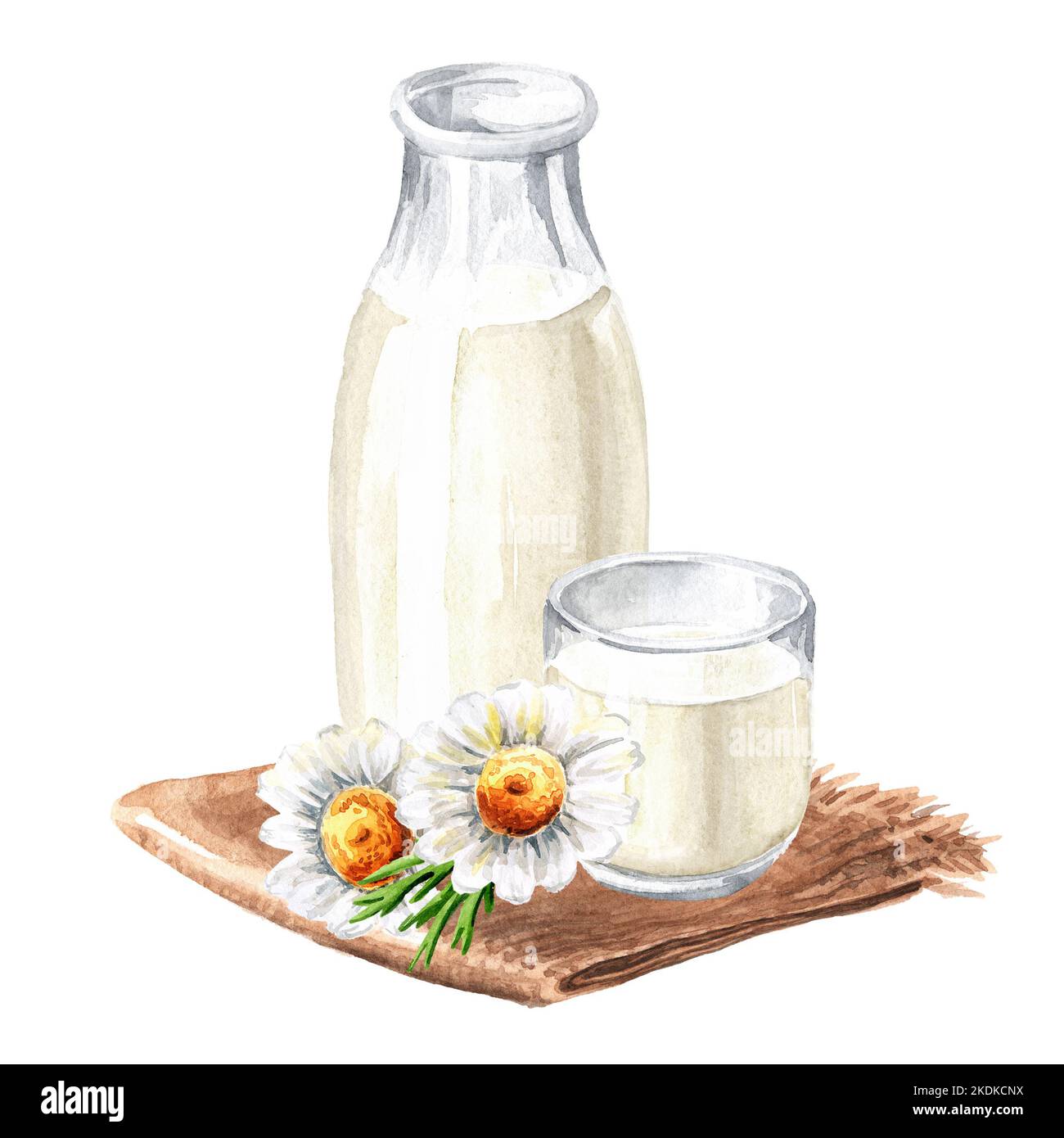 Bottle and glass of milk. Hand drawn watercolor illustration isolated ...